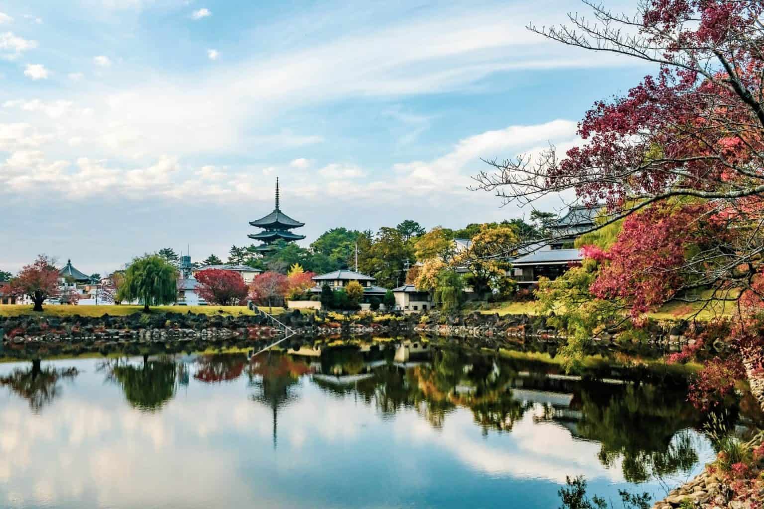 Perfect Day Trip to Nara Itinerary in 2025