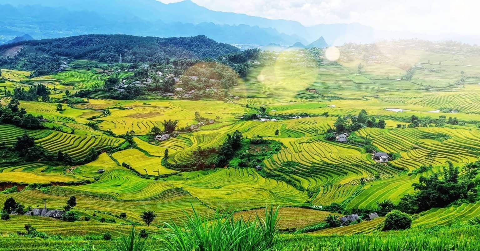 Best 12 Vietnam Rice Fields That You Need To Visit (2025 Guide)