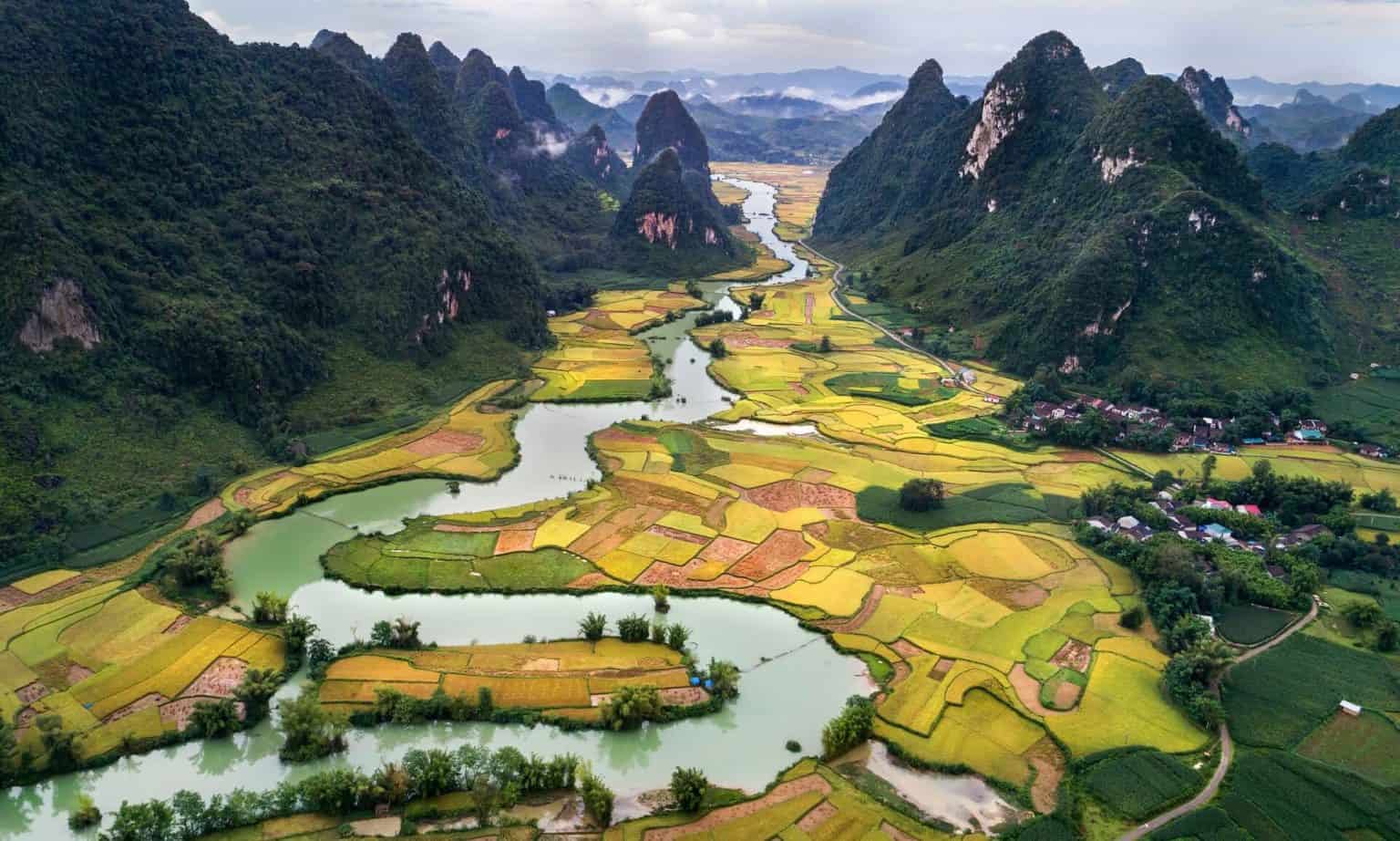 Best 12 Vietnam Rice Fields That You Need To Visit (2025 Guide)