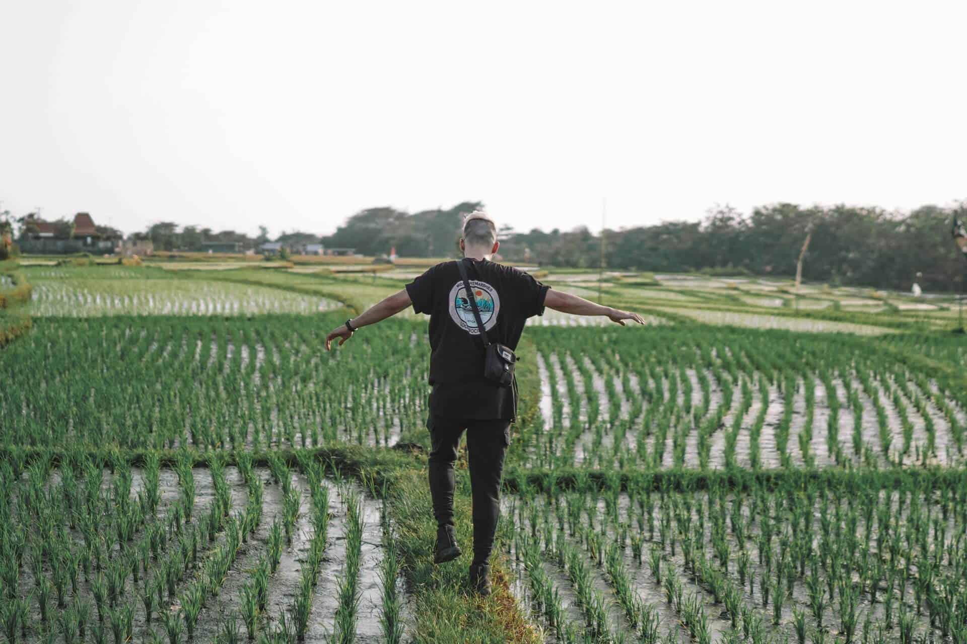 Top 13 Bali Rice Fields That You Should Not Miss