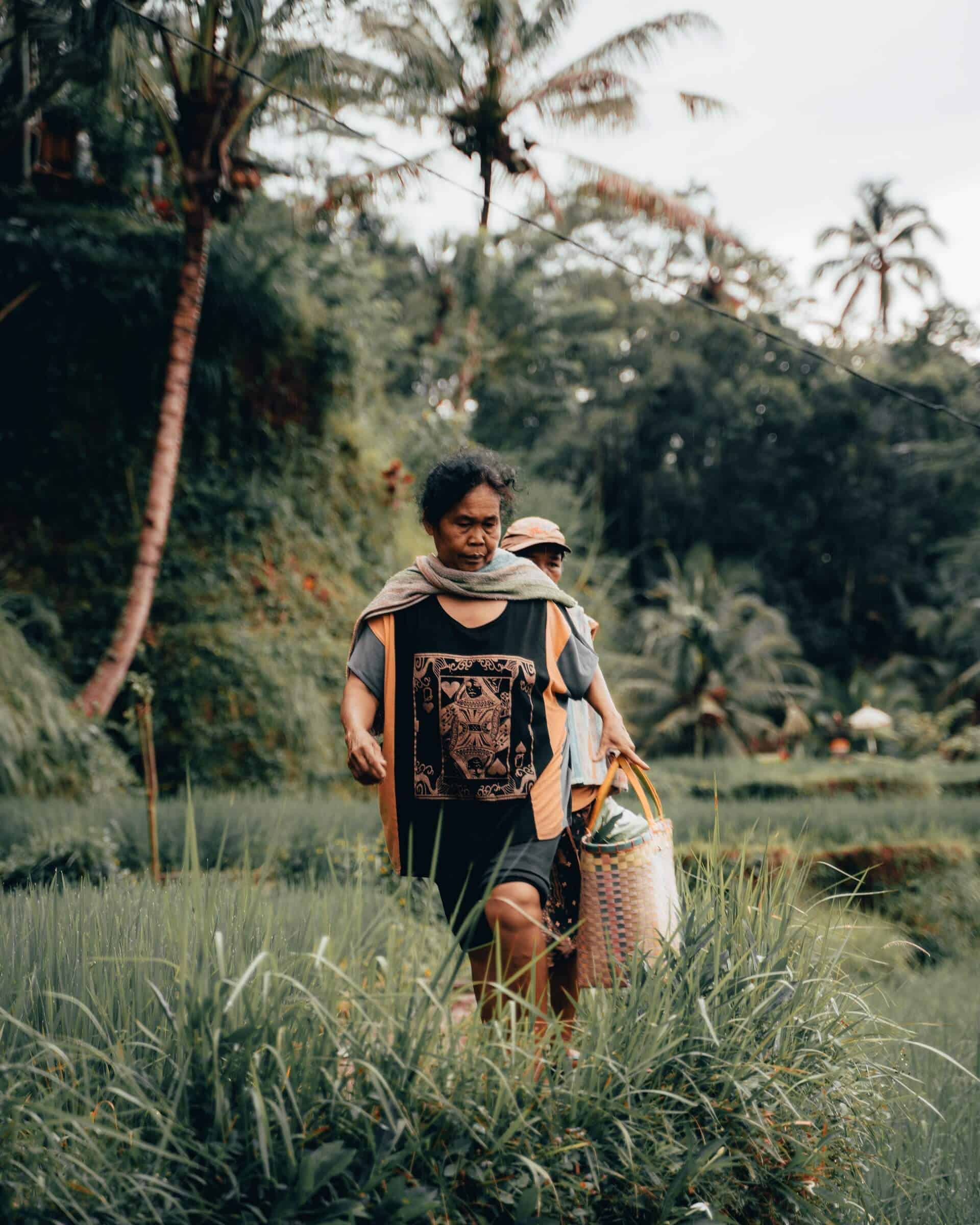 Top 13 Bali Rice Fields That You Should Not Miss