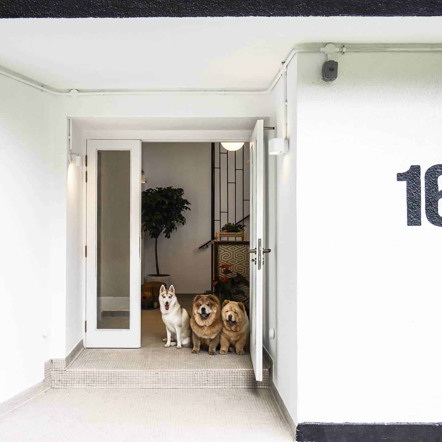 23 Best Dog Cafes in Singapore in 2026 (Fun Quality Time!)