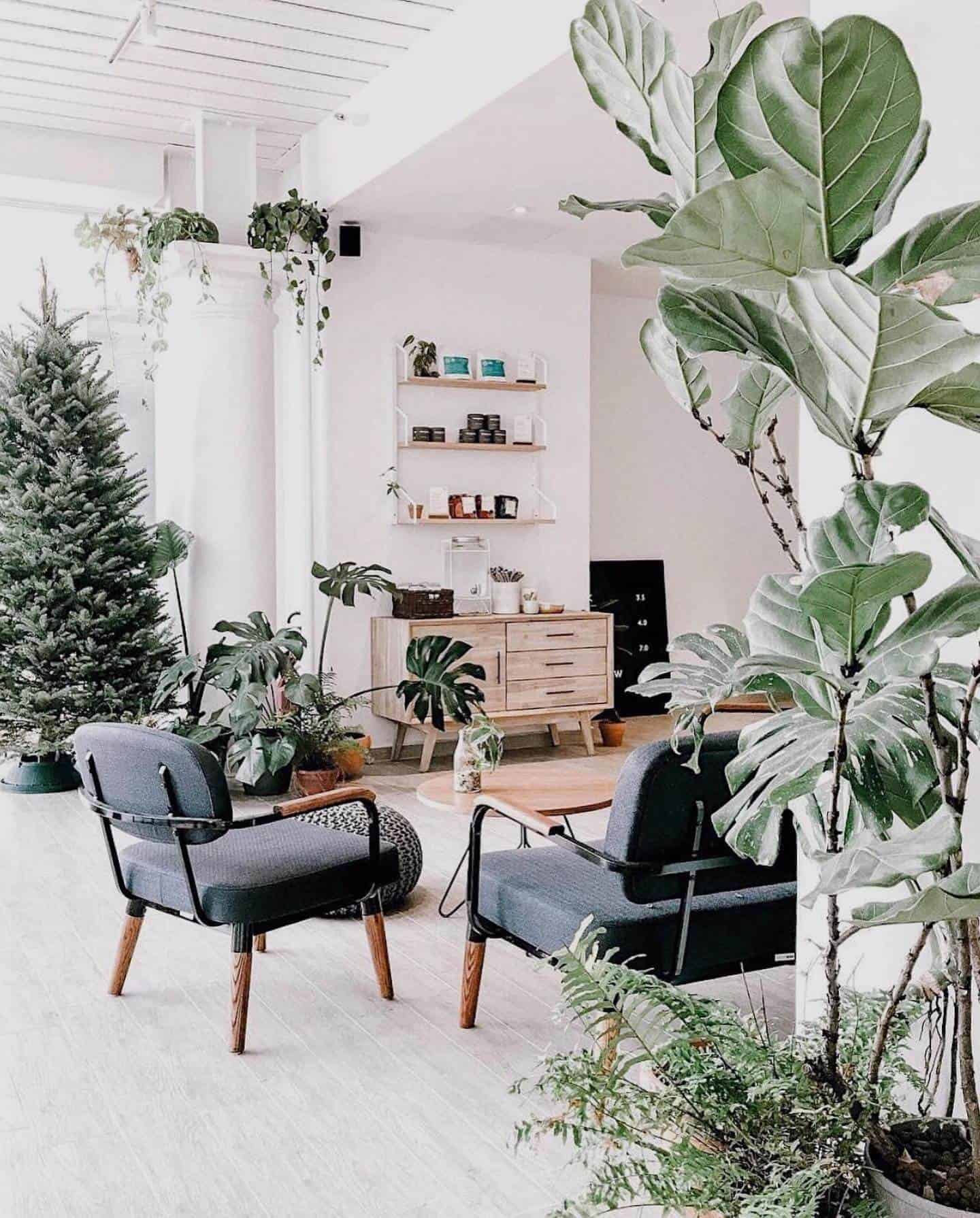 31 Best Instagrammable Cafes in Singapore in 2026