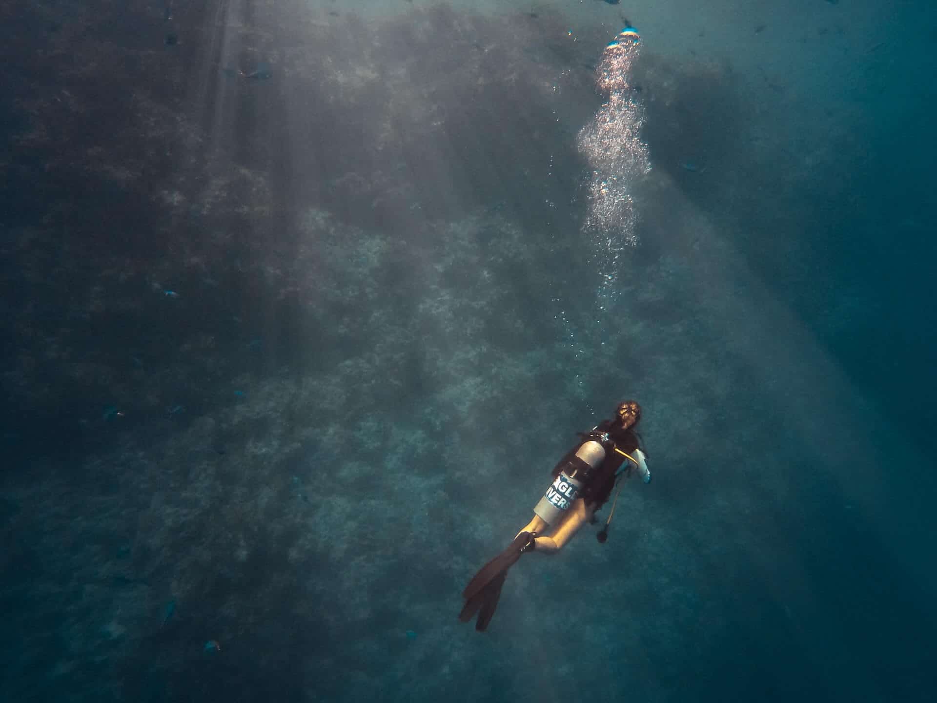 33 Crucial Scuba Diving Tips For Beginners (For A Pleasant Dive!)