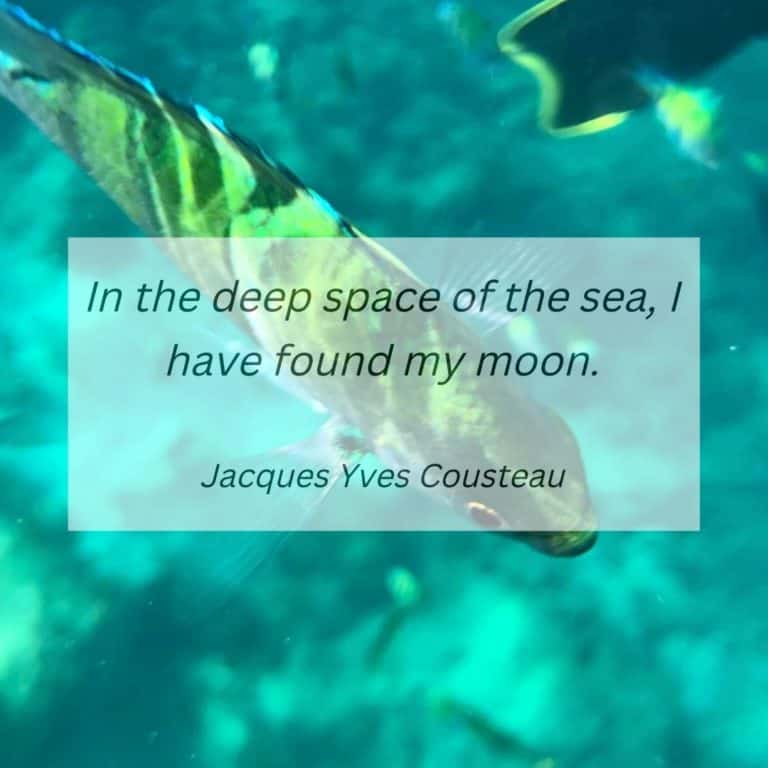 261 Wonderful Captions For Scuba Diving (5 Unique Categories!)