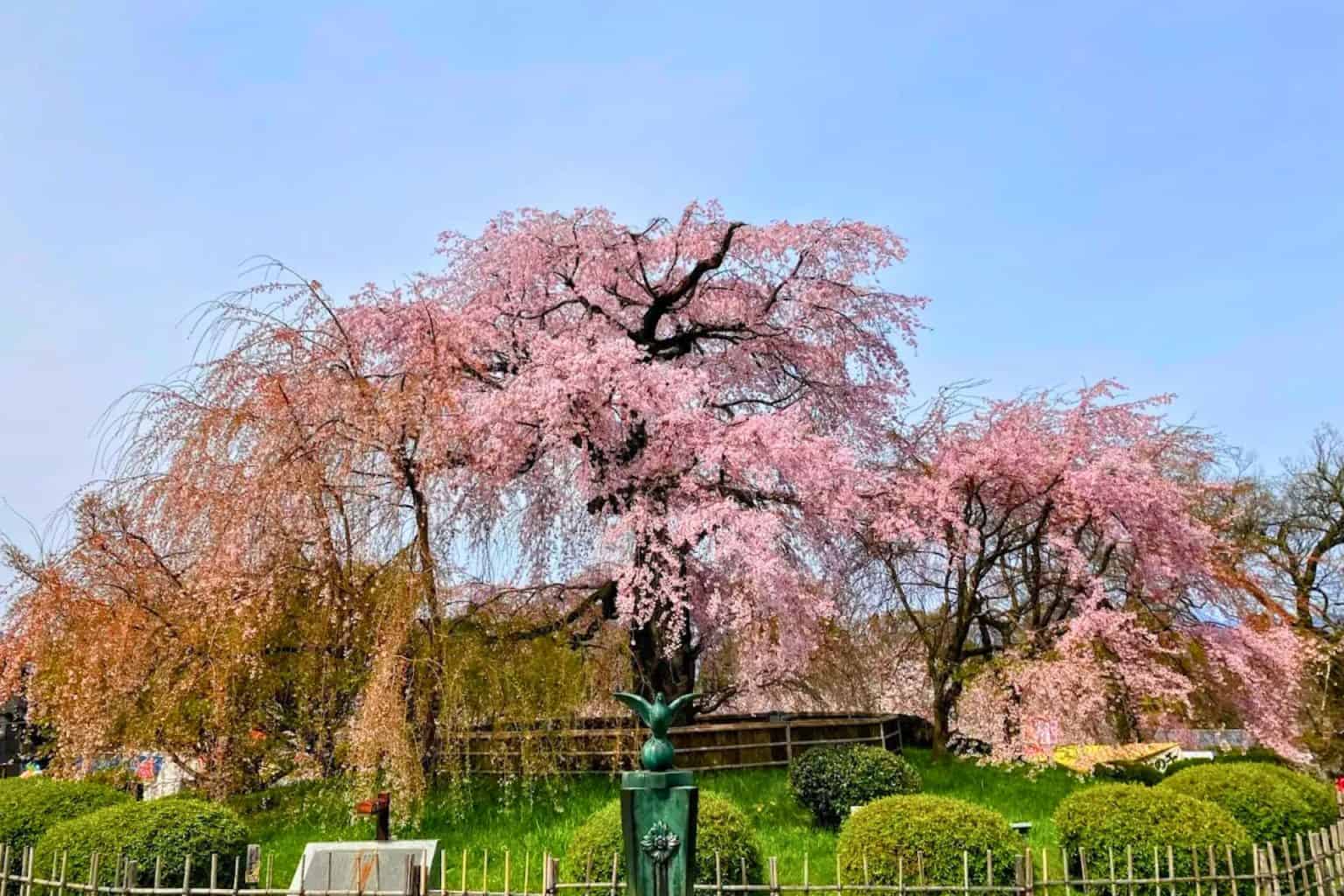 Kyoto Bucket List: 31 Unmissable Things You Must Do Before You Leave (2026)