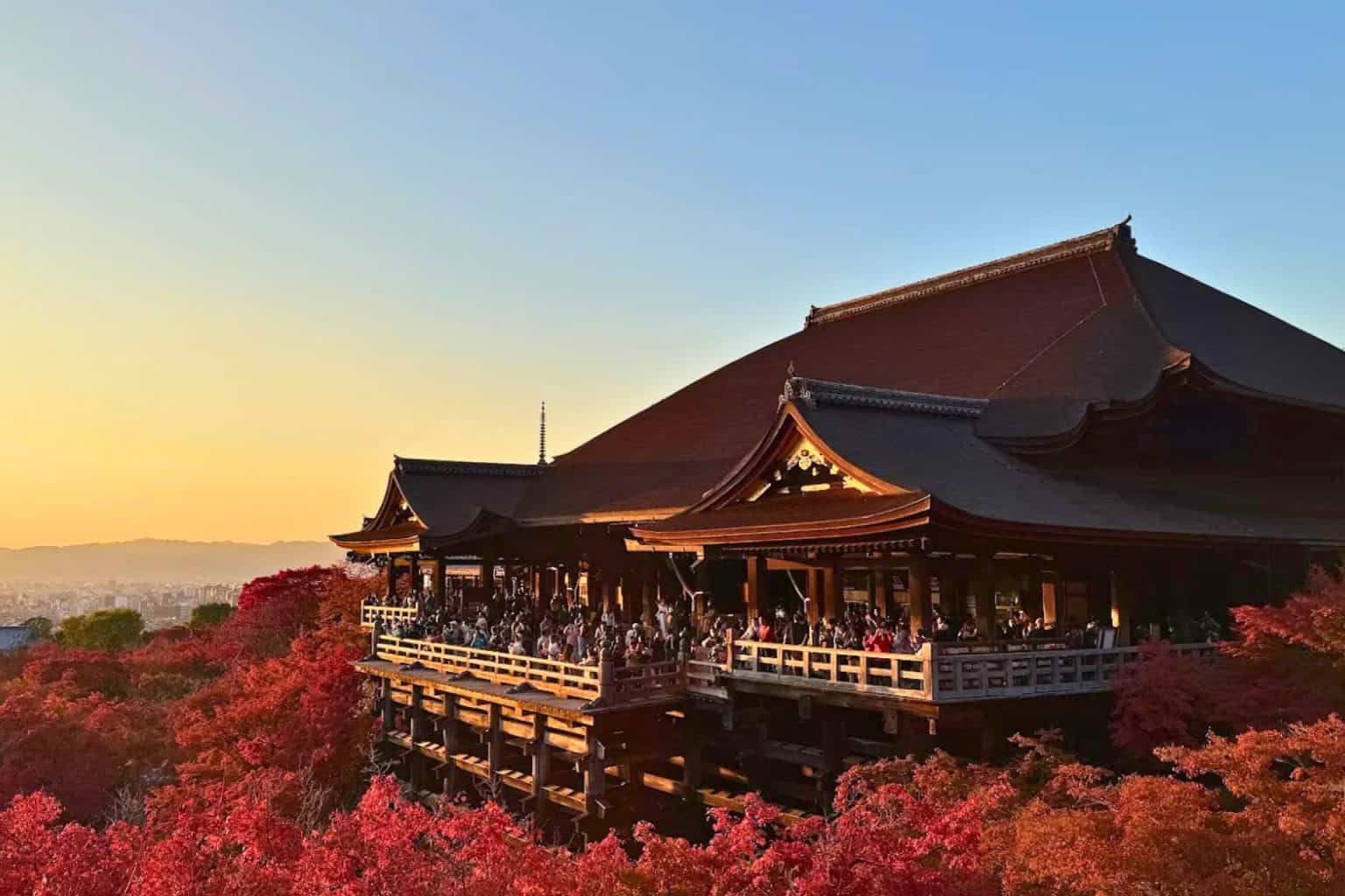 Perfect 1 Day Kyoto Itinerary for First-Time Travelers (2026)