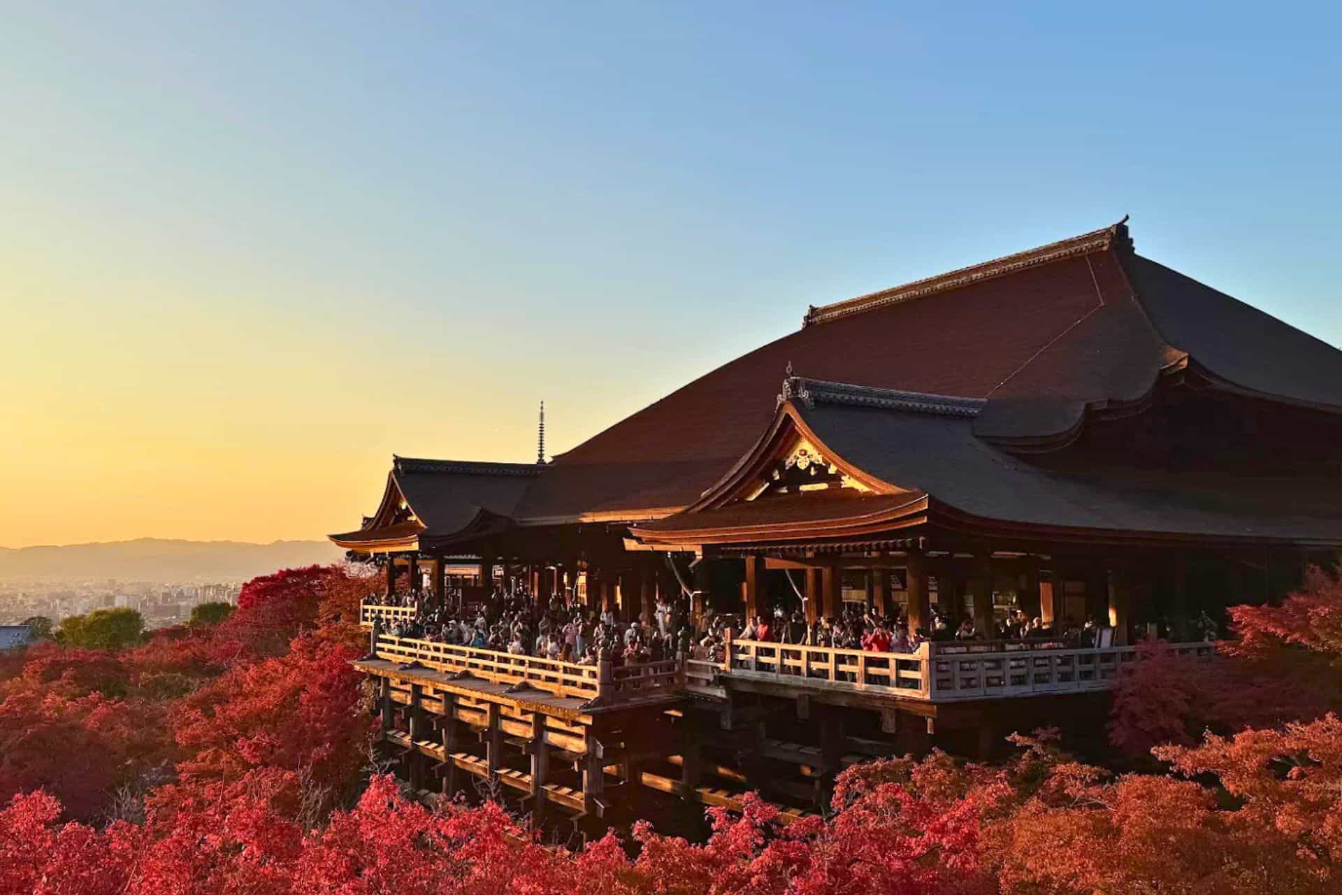 Perfect 1 Day Kyoto Itinerary for First-Time Travelers (2026)