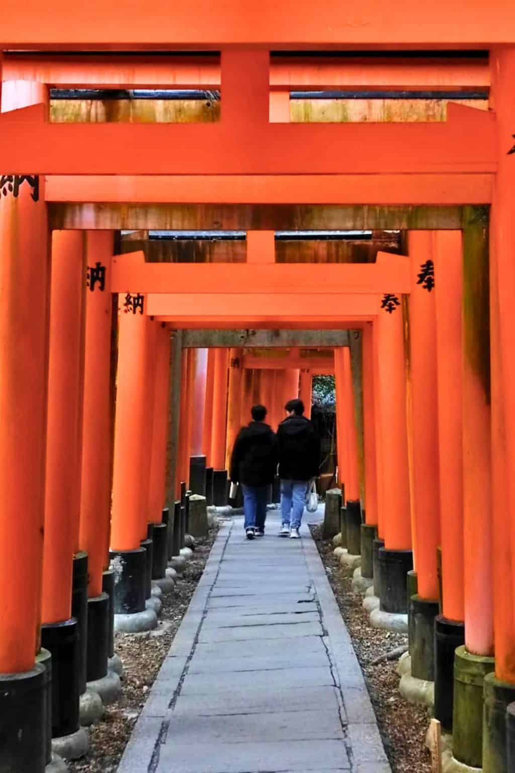 Perfect 1 Day Kyoto Itinerary for First-Time Travelers (2026)