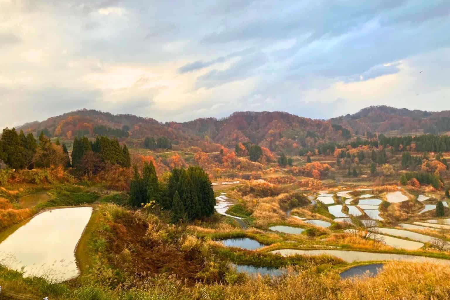 15 Best Things to Do in Fall in Japan (2026)