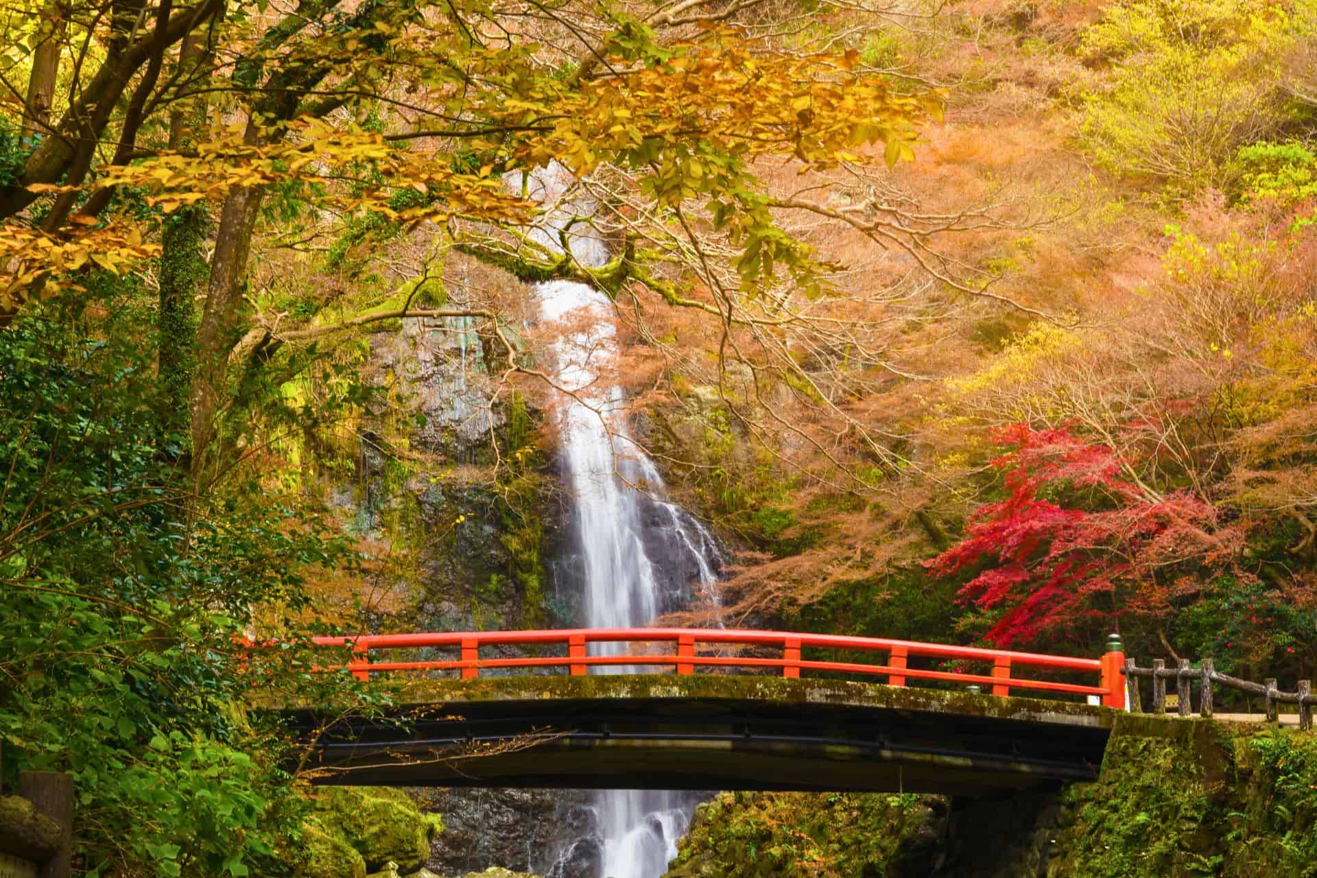 15 Best Things to Do in Fall in Japan (2026)