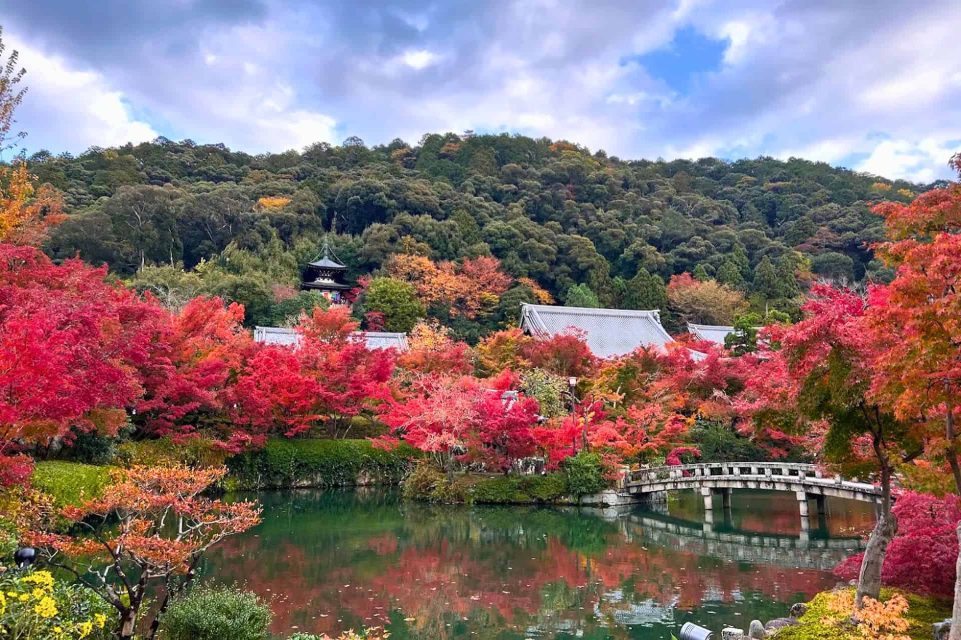 15 Best Things to Do in Fall in Japan (2026)