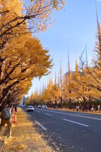 15 Best Things to Do in Fall in Japan (2026)