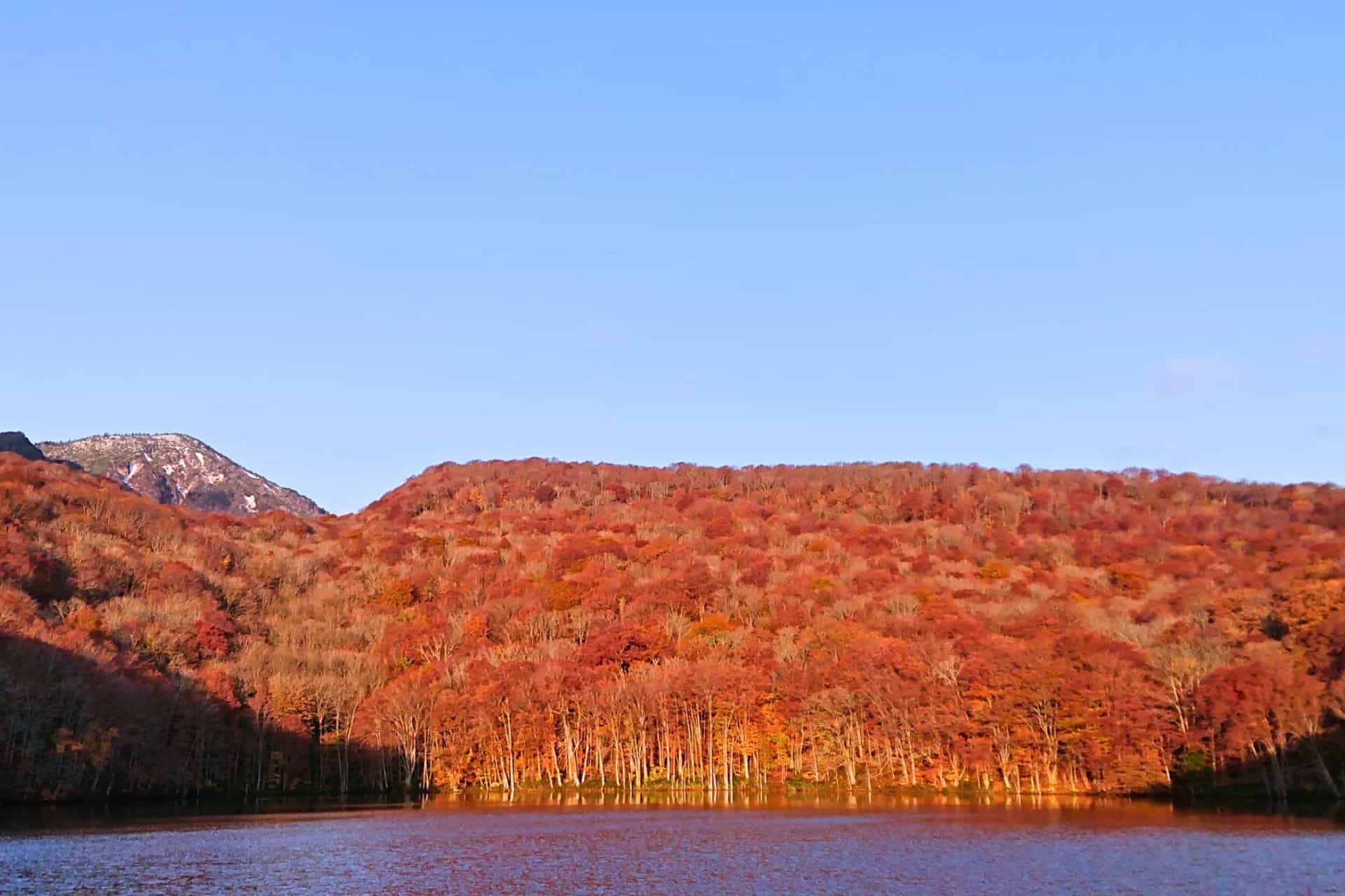 15 Best Things to Do in Fall in Japan (2026)
